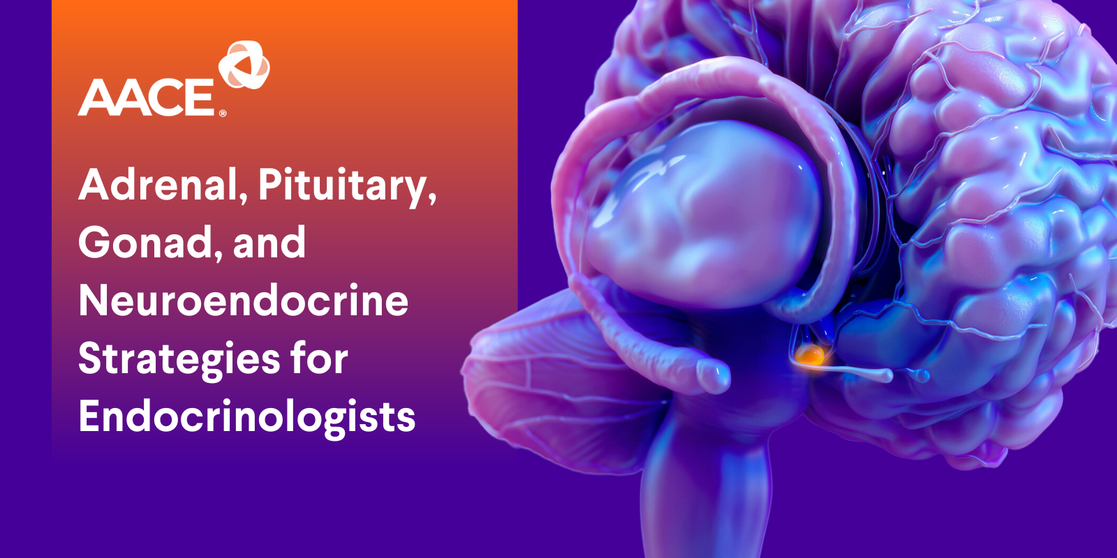 Education for Clinical Endocrinologists